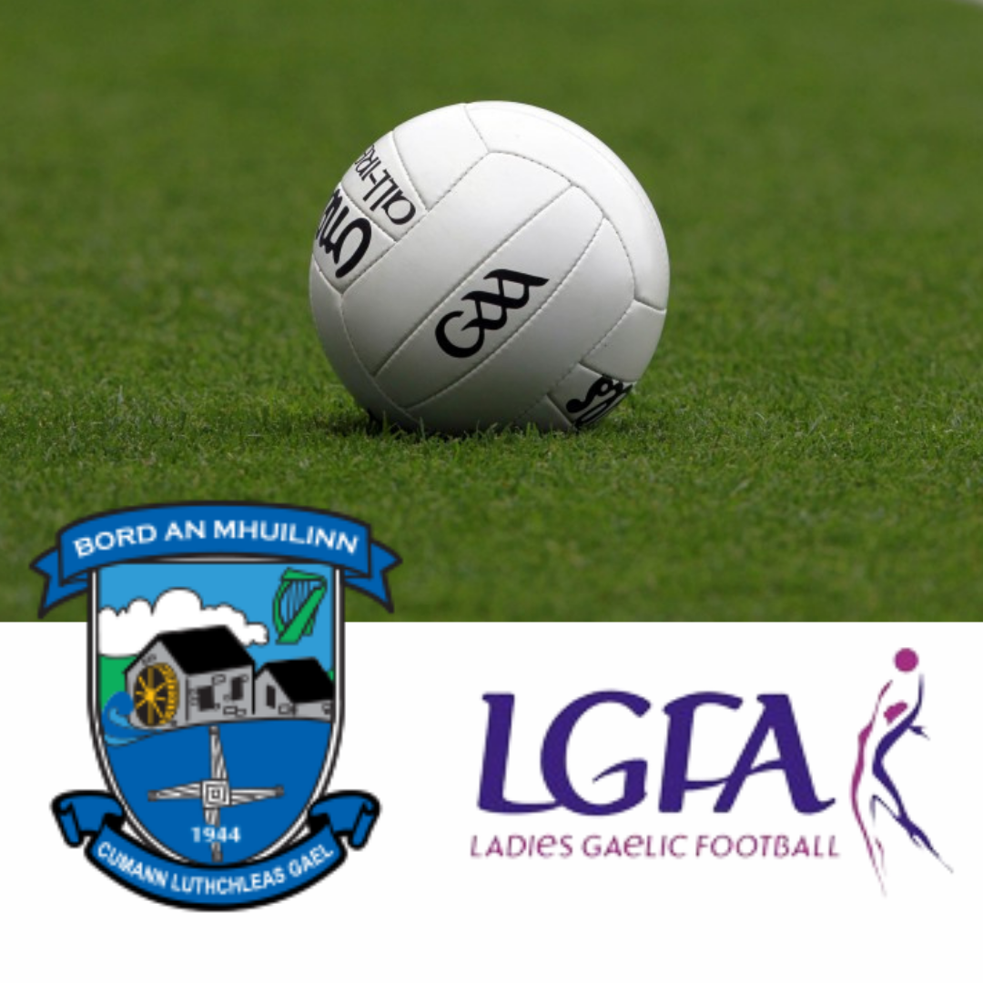U15 LGFA Division 4 League’s valiant effort – Boardsmill GAA